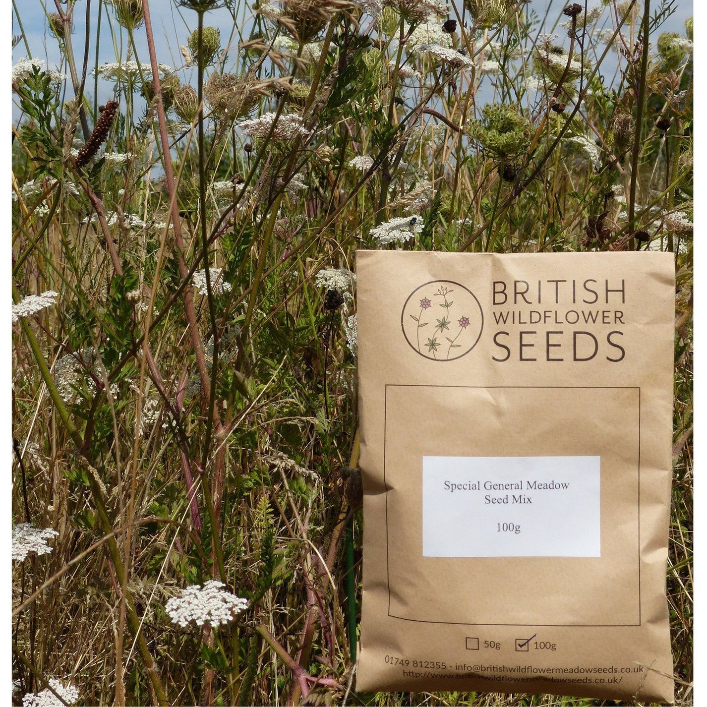 Special Meadow Mix | Wildflower Seed Packets | British Wildflower Seeds ...